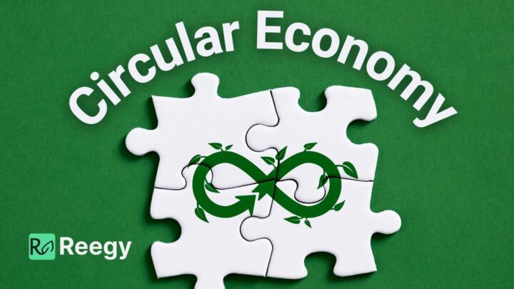 What is the Circular Economy - Best Practices for Businesses - Reegy