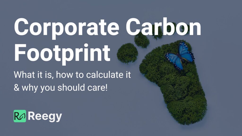 Calculating Your Corporate Carbon Footprint: Methods and Best Practices ...