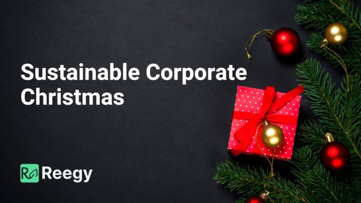 Sustainable Corporate Christmas: ESG Tips for the Holiday Season - Reegy